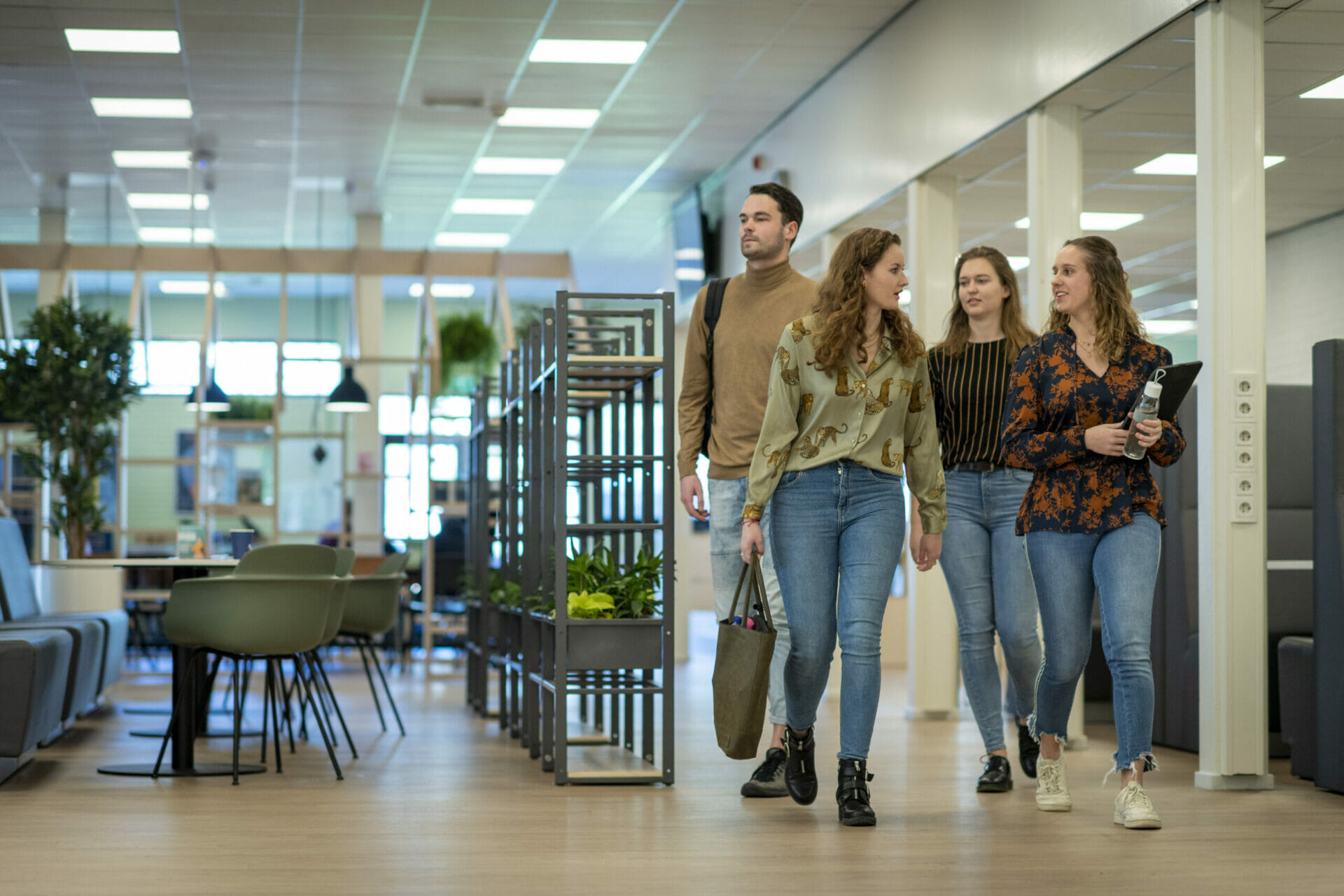 Onze instituten - Fontys